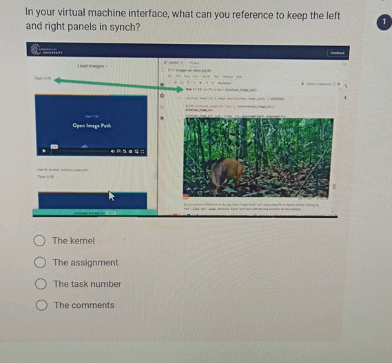 In your virtual machine interface what can | StudyX
