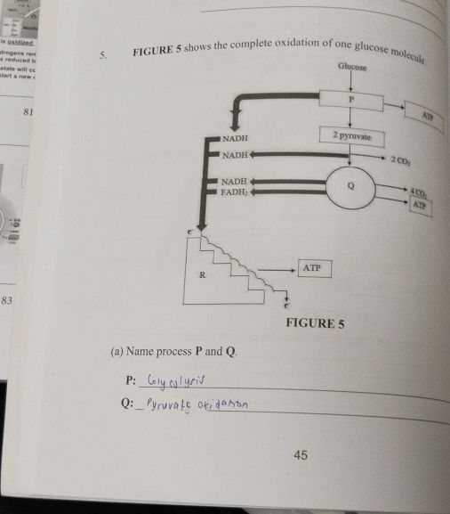 FIGURE 5 shows the complete oxidation of one | StudyX