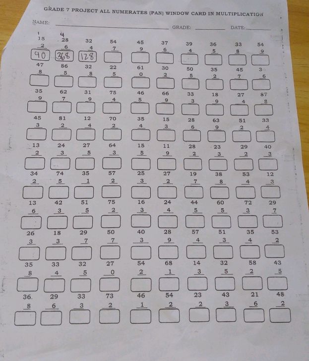 GRADE 7 PROJECT ALL NUMERATES (PAN) WINDOW | StudyX
