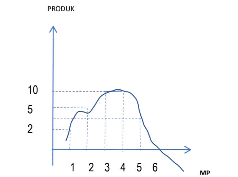 The image contains a graph showing the | StudyX