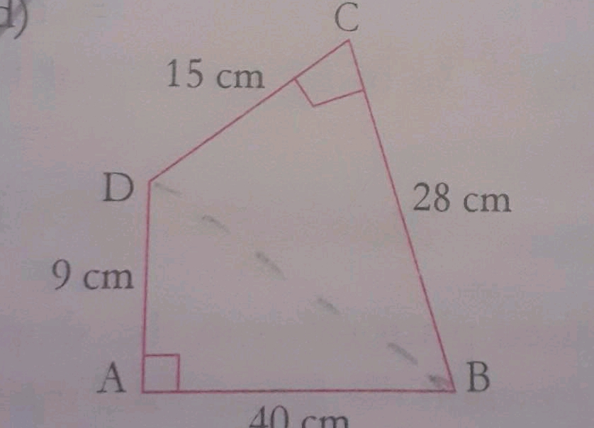 Find the area of the quadrilateral ABCD | StudyX