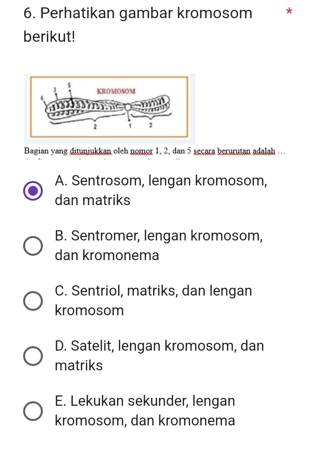 6 Perhatikan gambar kromosom berikut Gambar | StudyX