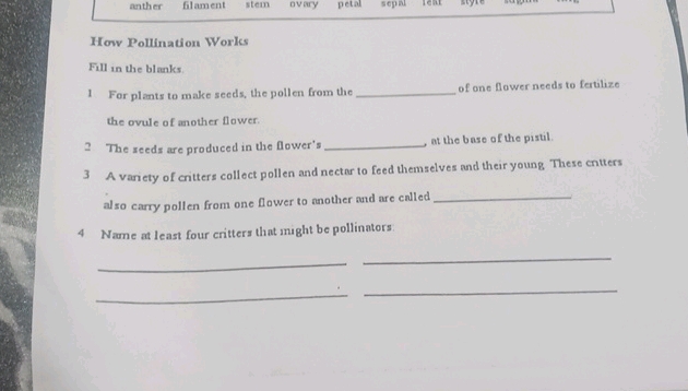 How Pollination Works Fill in the blanks 1 | StudyX