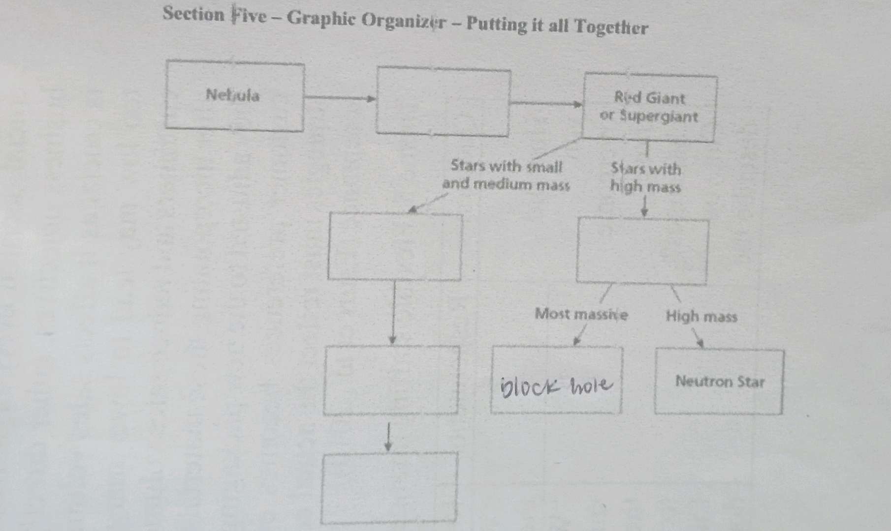 Section Five - Graphic Organizer - Putting | StudyX