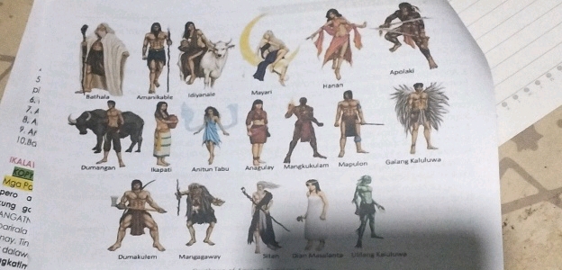 The image contains illustrations of various | StudyX
