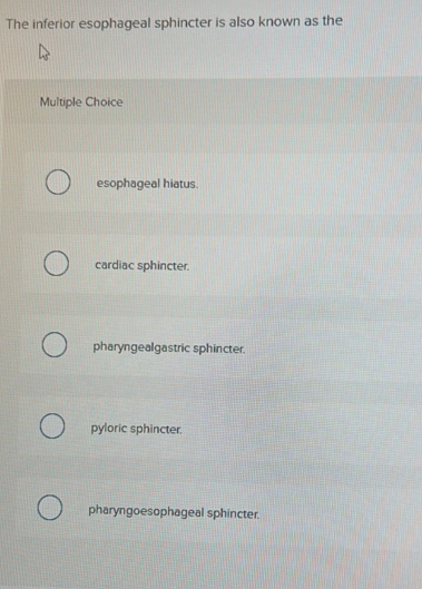 The inferior esophageal sphincter is also