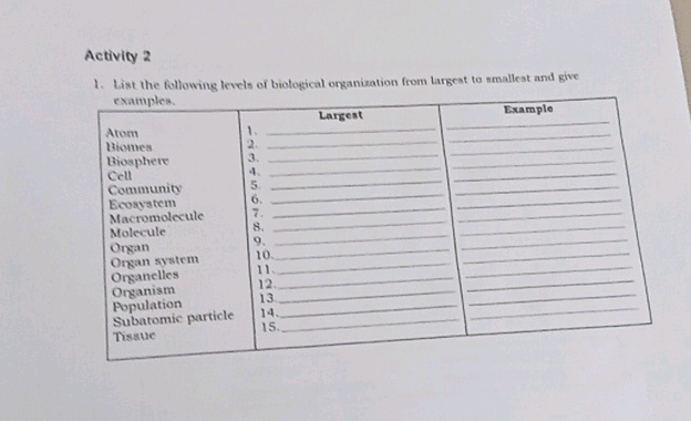 Activity 2 1 List the following levels of | StudyX