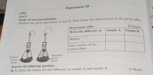 AIM Part I Study of seed germination Observe | StudyX