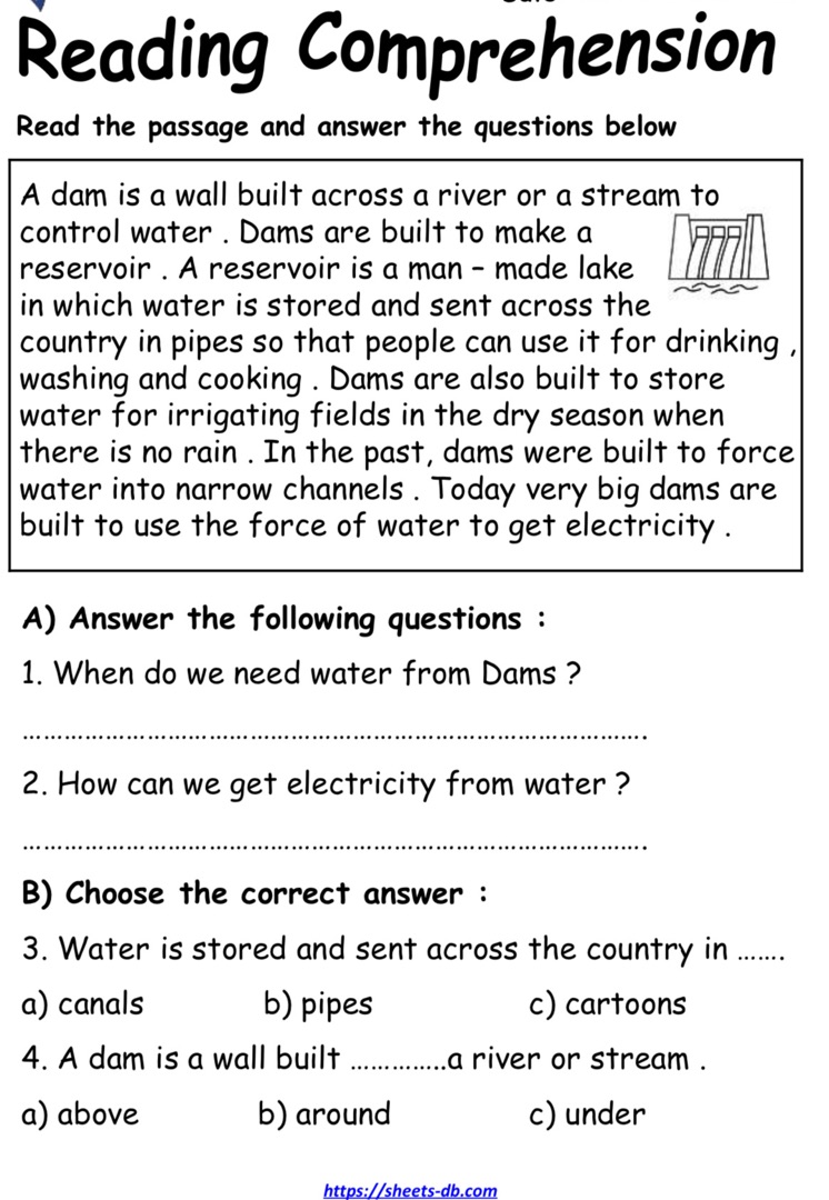 Reading Comprehension Read the passage and | StudyX