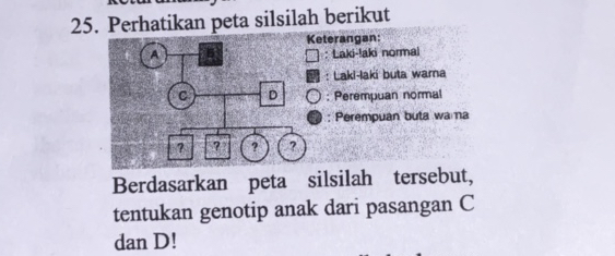 25 Perhatikan peta silsilah berikut Gambar | StudyX