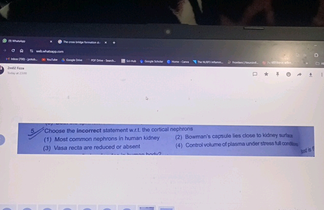 5 Choose the incorrect statement wrt the | StudyX