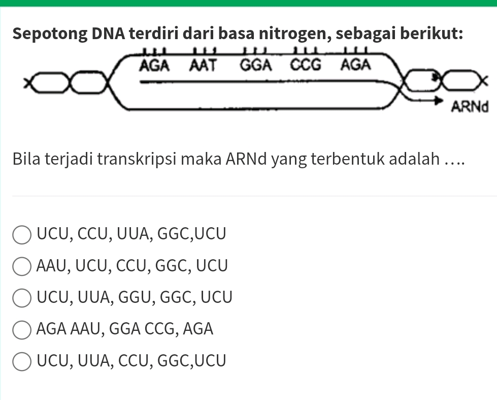 Sepotong DNA terdiri dari basa nitrogen | StudyX