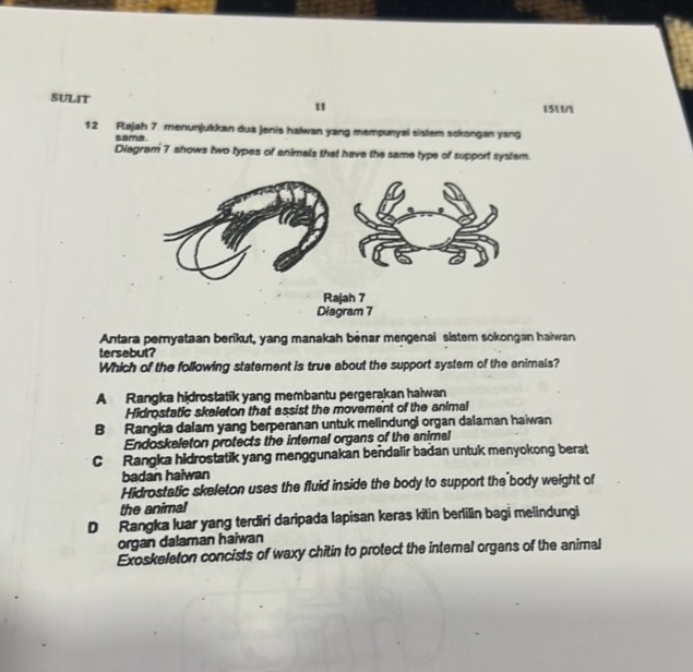 Rajah 7 menunjukkan dua jenis haiwan yang | StudyX