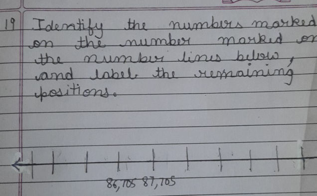 19 Identify the numbers marked on the number | StudyX