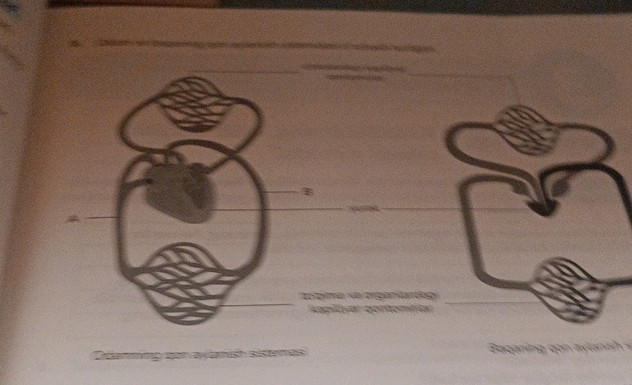 The image contains two diagrams illustrating | StudyX
