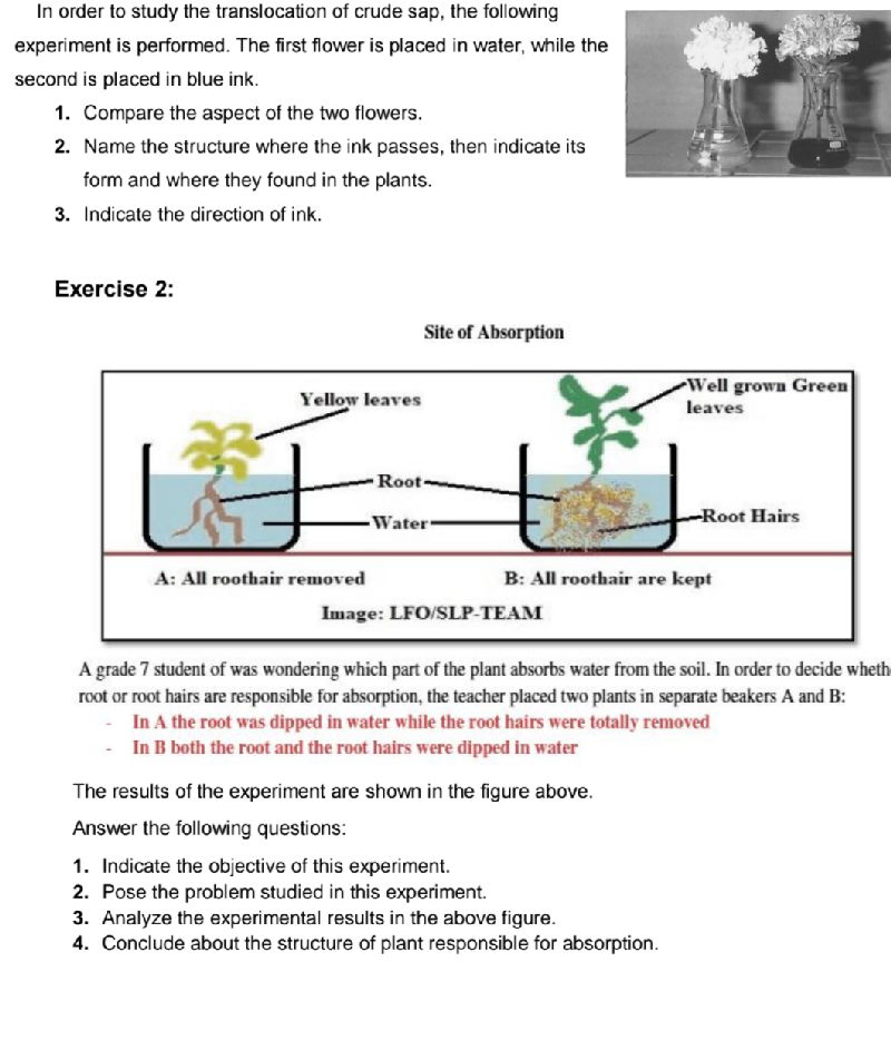 In order to study the translocation of crude | StudyX