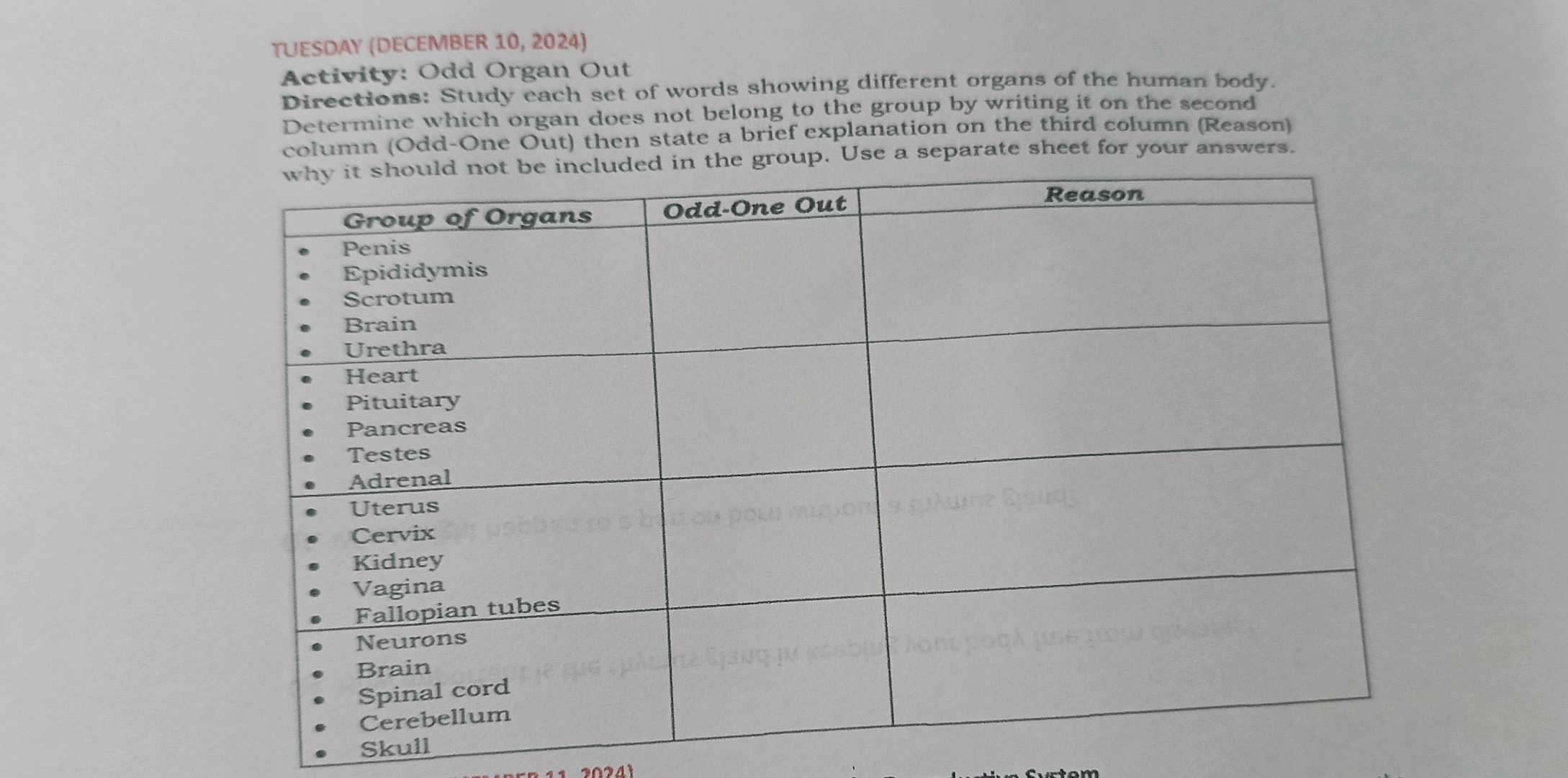 TUESDAY (DECEMBER 10 2024) Activity Odd | StudyX