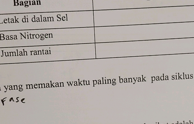 Bagian Letak di dalam Sel Basa Nitrogen | StudyX
