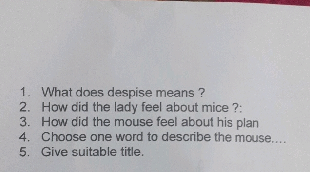 1 What does despise means 2 How did the lady | StudyX