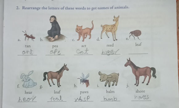 2 Rearrange the letters of these words to | StudyX