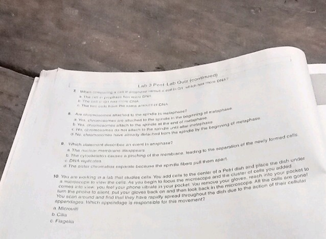 Lab 3 Post Lab Quiz continued 7 When | StudyX