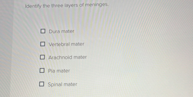 Identify the three layers of meninges Arachnoid mater Vertebral mater ...