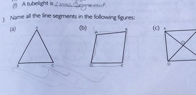 3 Name all the line segments in the | StudyX