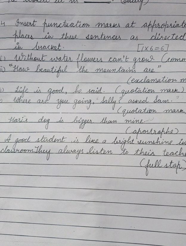 4 Insert punctuation marks at appropriate | StudyX