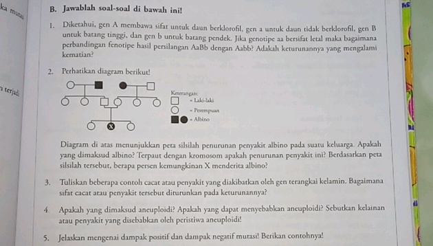 B Jawablah soal-soal di bawah ini 1 | StudyX