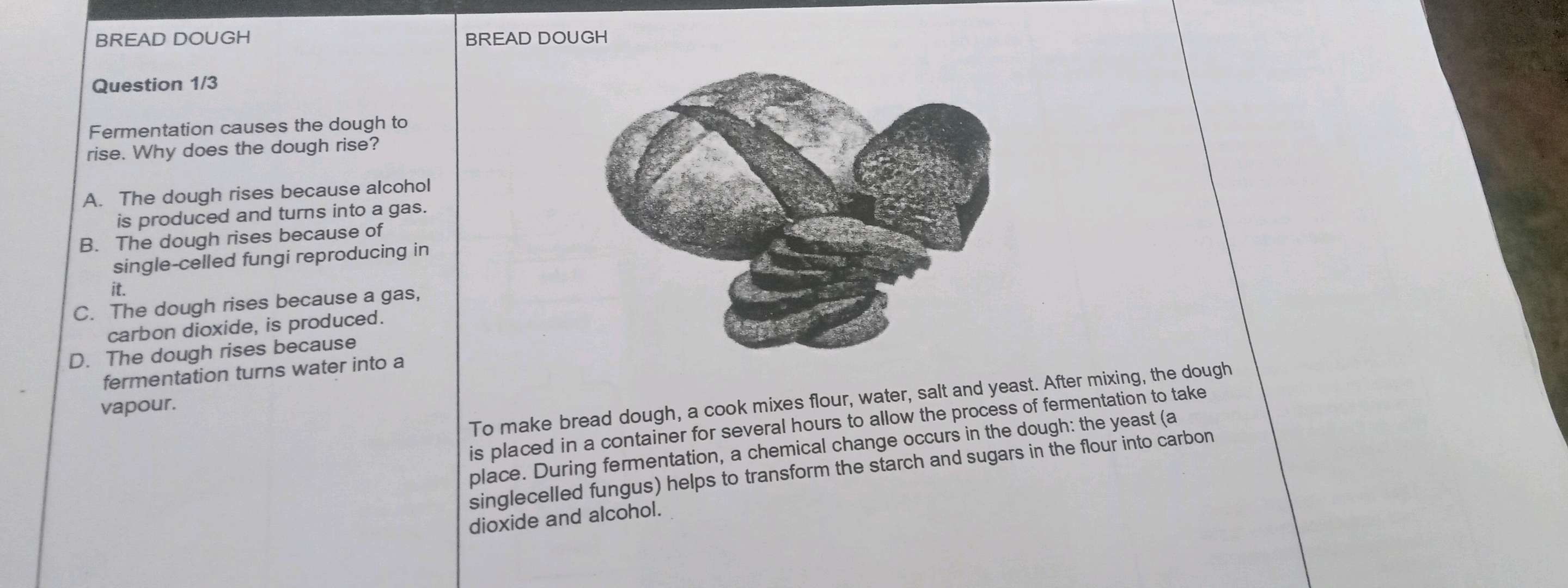 BREAD DOUGH Question 1/3 Fementation causes | StudyX