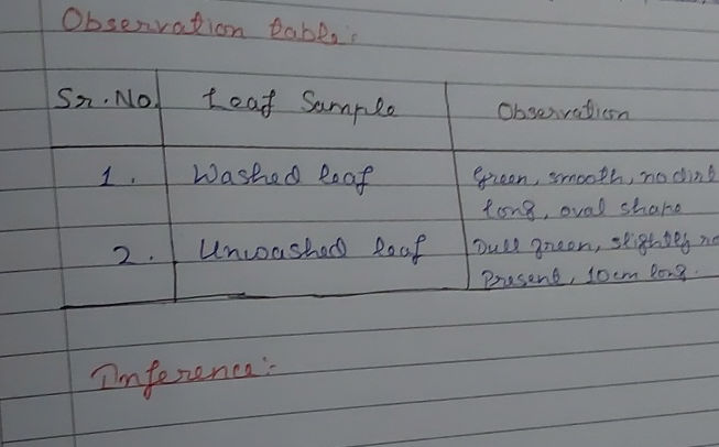 Observation Table Sr No Leaf Sample | StudyX