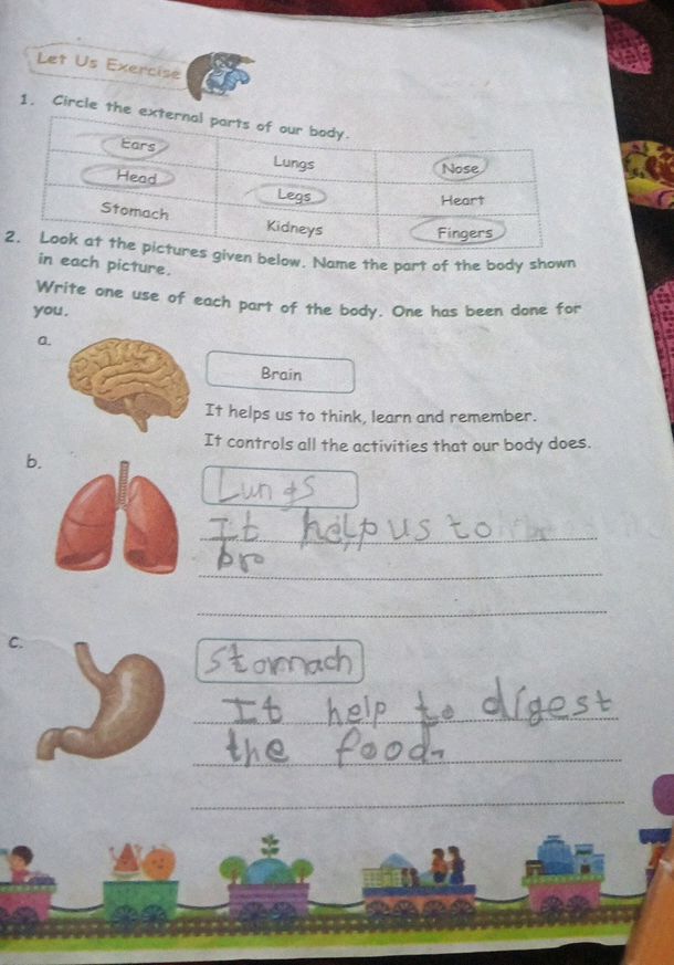 1 Circle the external parts of our body Ears | StudyX