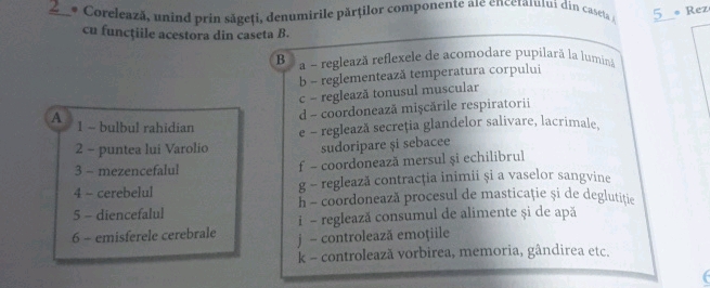A 1- bulbul rahidian 2 puntea lui Varolio 3 mezencefalul 4 - cerebelul ...