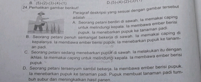 24 Perhatikan gambar berikut Paragraf | StudyX