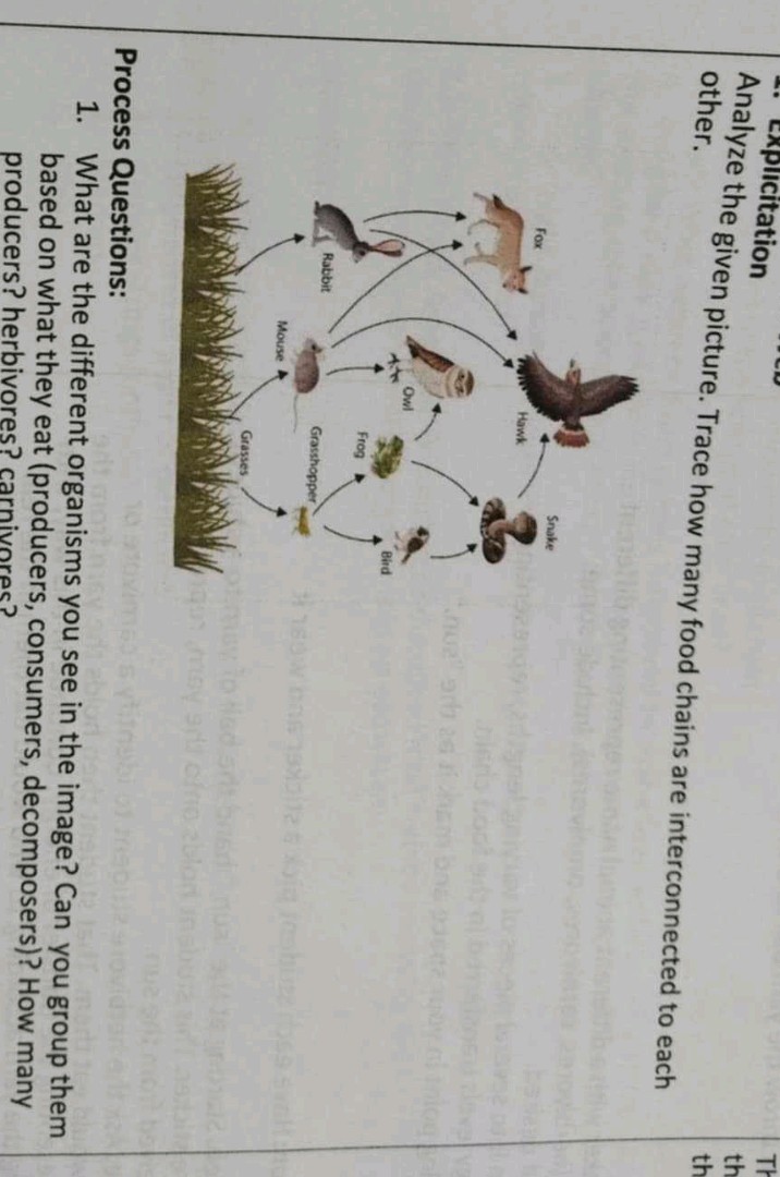 1 Explicitation Analyze the given picture | StudyX