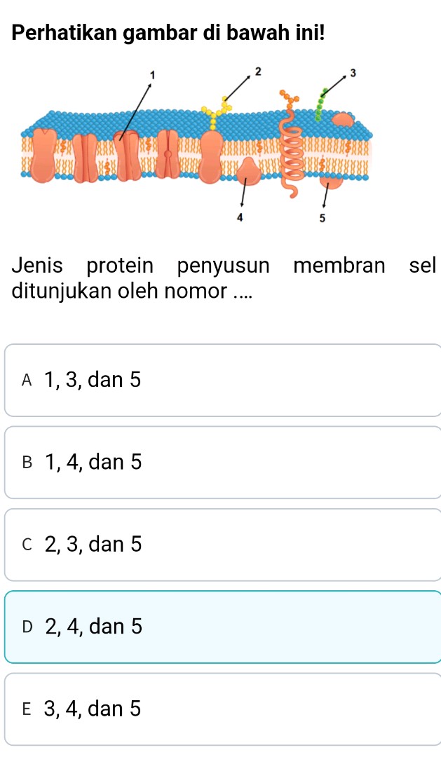 Perhatikan gambar di bawah ini Jenis protein | StudyX