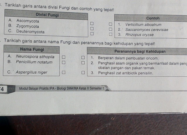 Tariklah garis antara divisi Fungi dan | StudyX