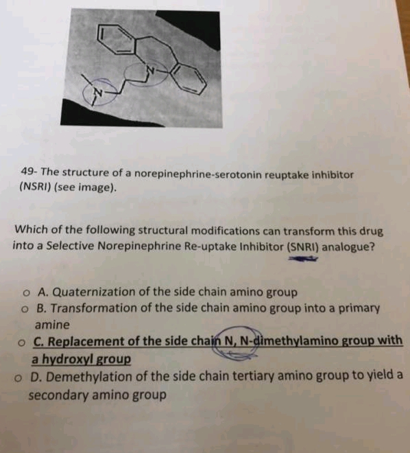 49- The structure of a | StudyX