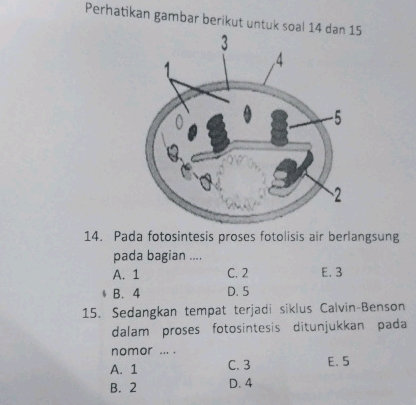Perhatikan gambar berikut untuk soal 14 dan | StudyX