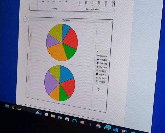 Visualization 1 shows two pie charts The | StudyX