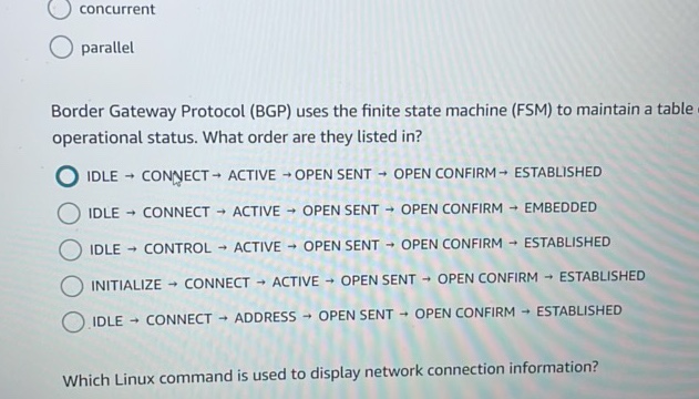 concurrent parallel Border Gateway Protocol | StudyX