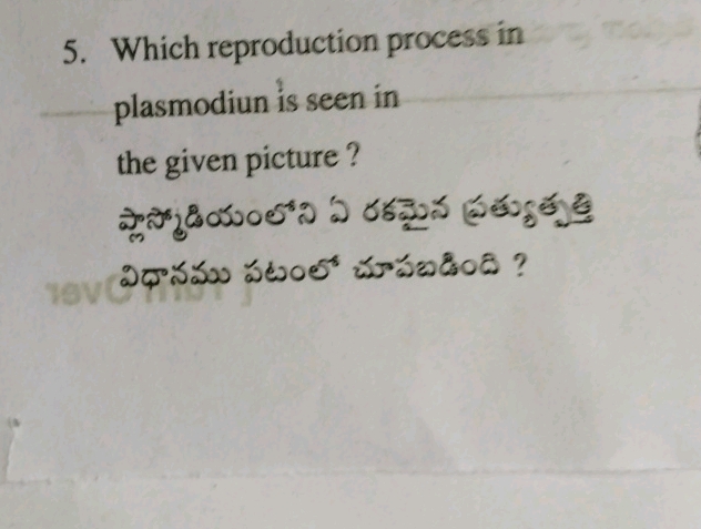 5 Which reproduction process in plasmodium | StudyX