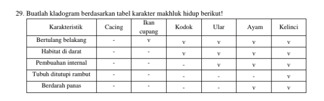 29 Buatlah kladogram berdasarkan tabel | StudyX