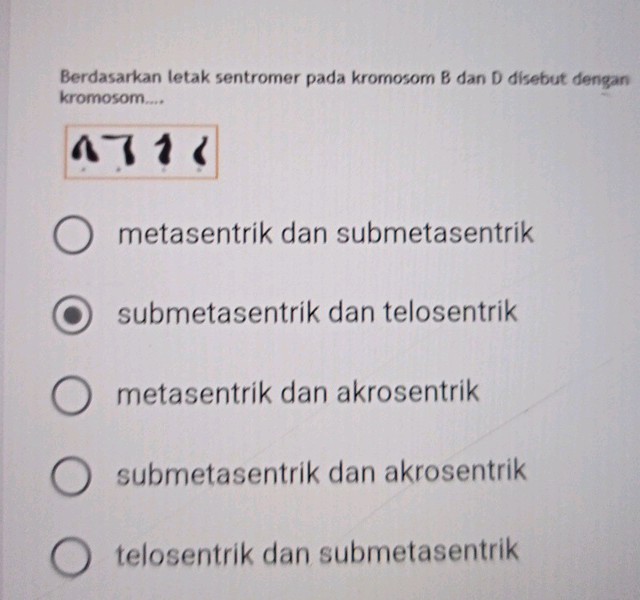 Berdasarkan letak sentromer pada kromosom B | StudyX