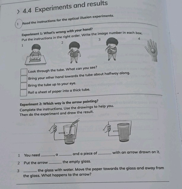 Read the instructions for the optical | StudyX
