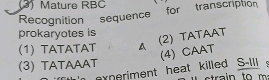 Mature RBC Recognition sequence for | StudyX