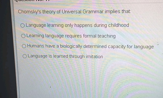 Chomskys theory of Universal Grammar implies | StudyX