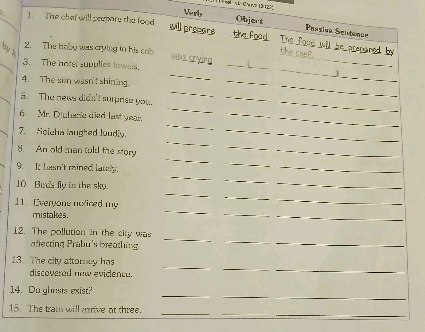 Passive Sentence 1 The chef will prepare the | StudyX