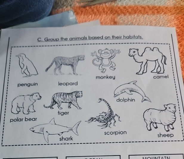 C Group the animals based on their habitats | StudyX