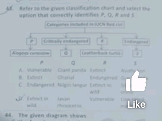 48 Refer to the given classification chart | StudyX